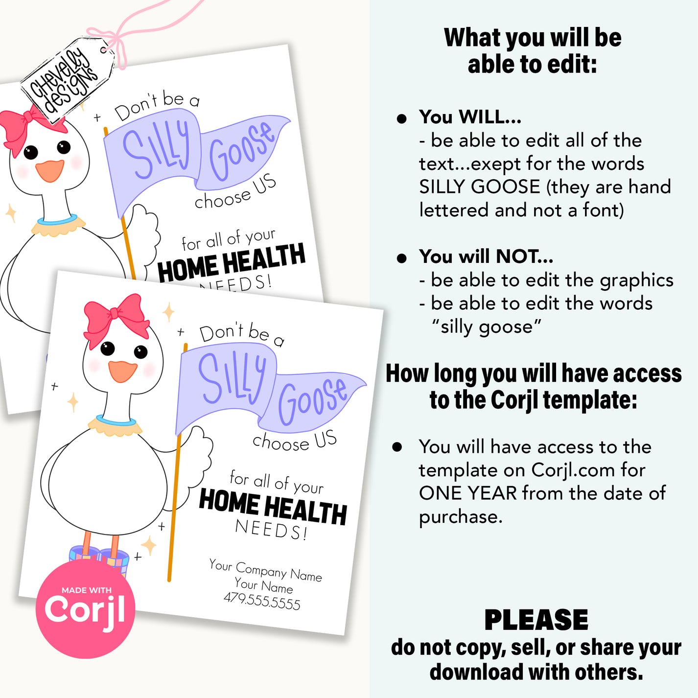 EDITABLE - Don't be a Silly Goose, Choose Us for all Your Home Health ...