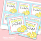 Printable Lemons make Lemonade Gift Tags >>>Instant Digital D ...